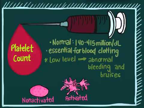 Understanding Blood Test Video 3: Complete Blood Count - YouTube