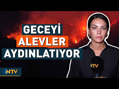 Yangın Yeniden Başladı! Ekipler Tekrar Alevlere Müdahale Etmeye Başladı | NTV