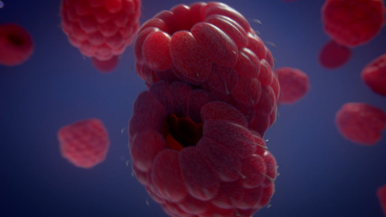 Raspberry Beauty - Houdini Tutorial - YouTube