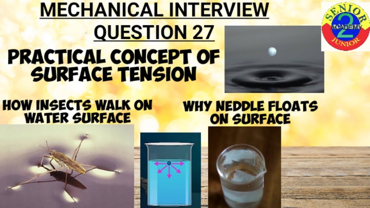 Practical Concept of Surface Tension ||Insect walk on water Surface ...