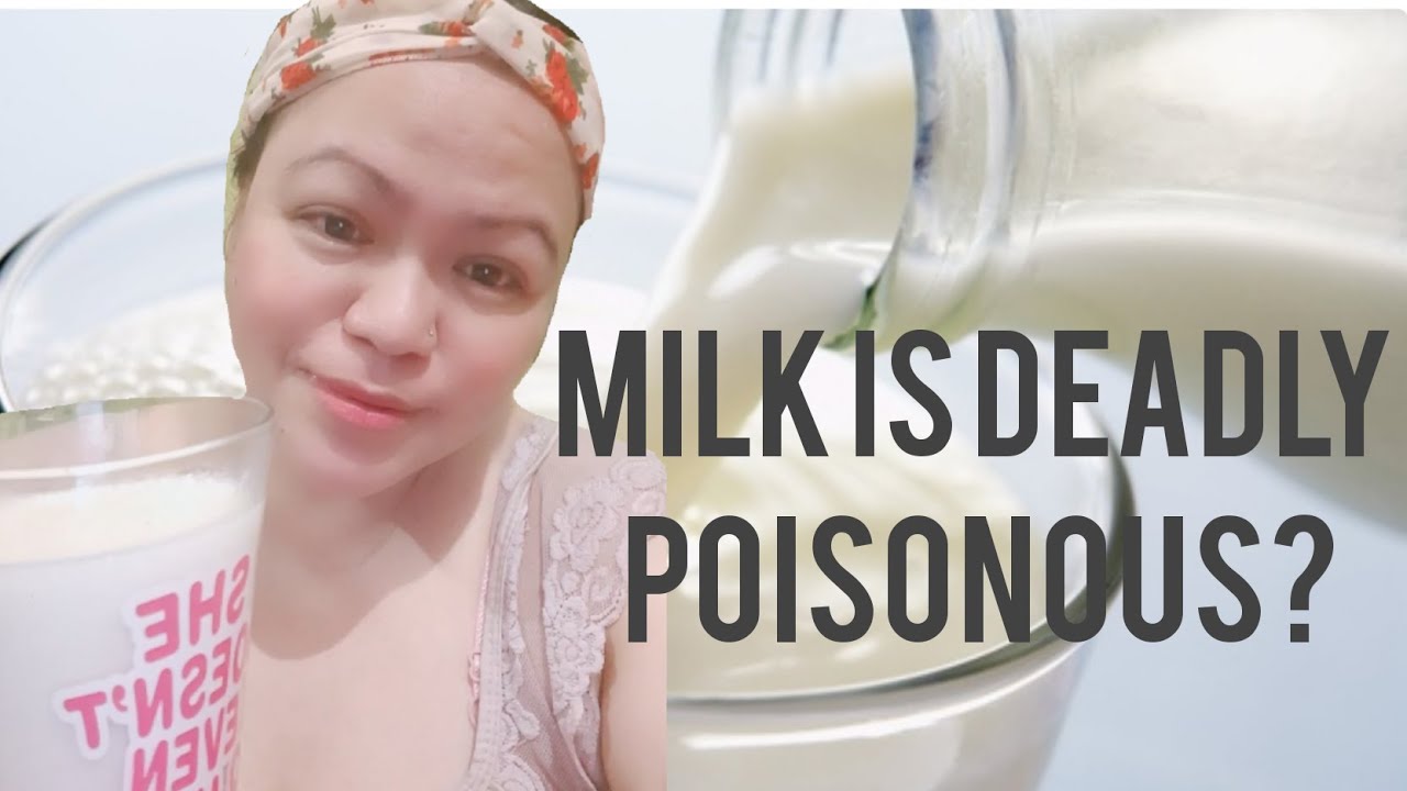 IS MILK DEADLY POISONOUS? - YouTube
