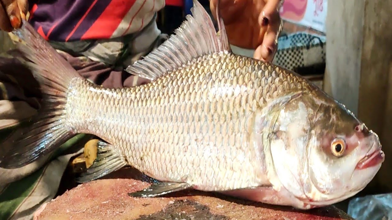 Amazing Giant Catla Carp Fish Cutting Skills In Fish Market | Fish ...