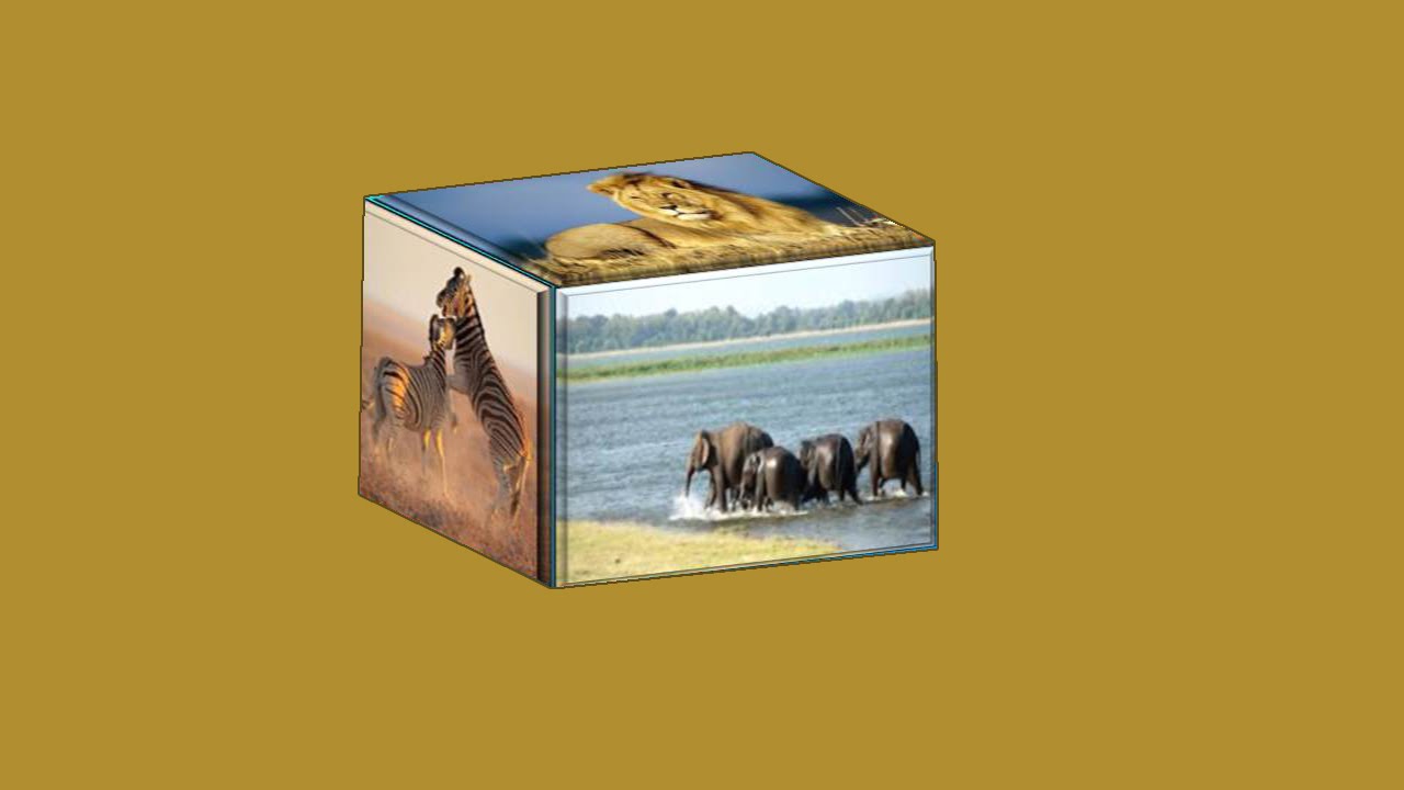 How To Create A Picture Cube In PowerPoint In Tamil With ESubs how-to-create-a-picture-cube-in-powerpoint-in-tamil-with-esubs