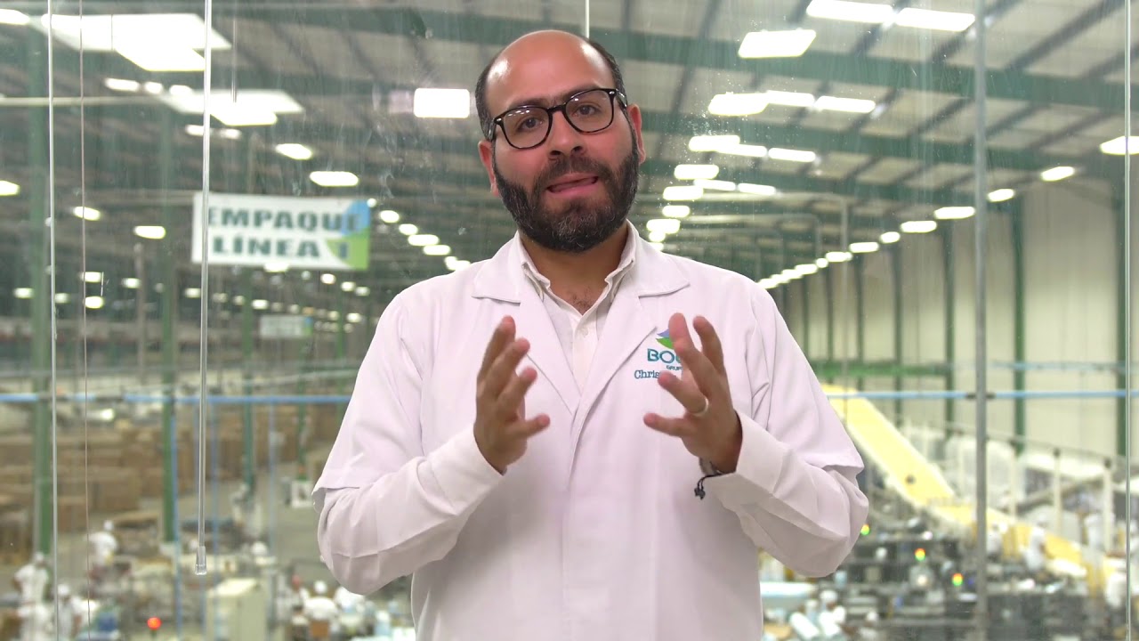 Grupo Bocel - Video Corporativo - YouTube