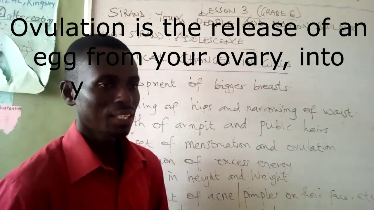 GRADE 6 OWOP LESSON 3 - YouTube