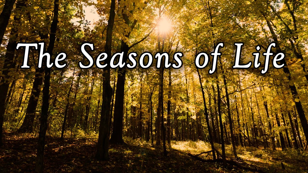 The Seasons of Life – A Vedantic Contemplation – Immersive Experience ...