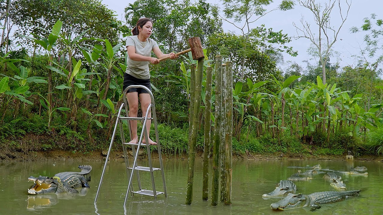 AMAZING ! The Powerful Resilience And Survival Instinct of A Single Mom ...