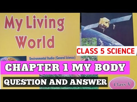 DAV CLASS 5 SCIENCE CHAPTER 1 MY BODY | QUESTION AND ANSWER - YouTube