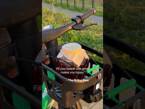 give this bear a podcast!