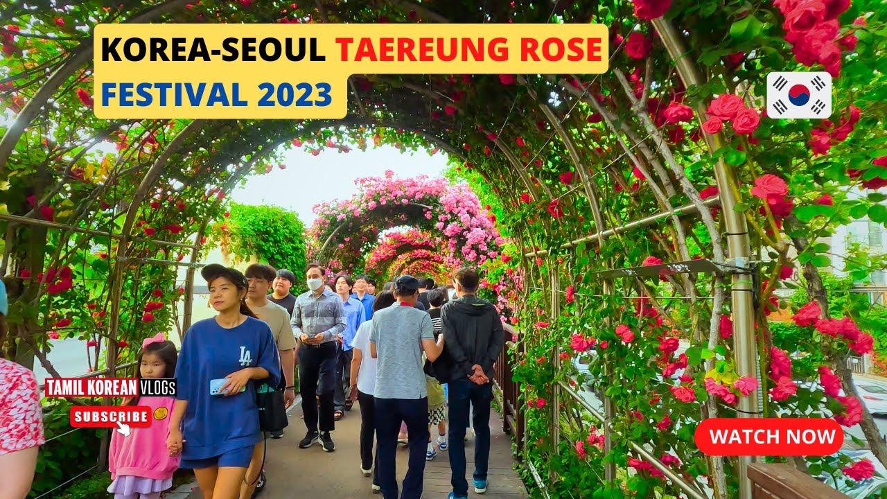 Taereung Rose Festival: Part 3 | Seoul | Korea 💜#seoul #korea # ...