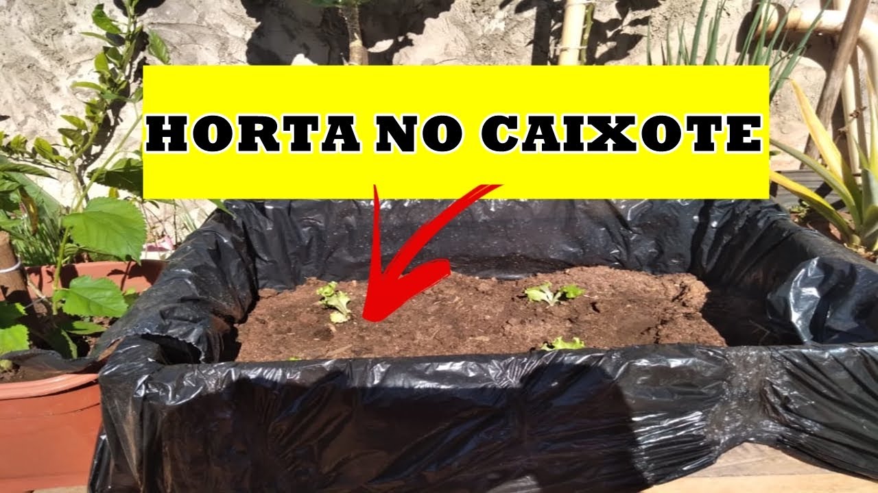 Como Fazer uma Horta no Caixote de Feira (Passo a Passo). - YouTube