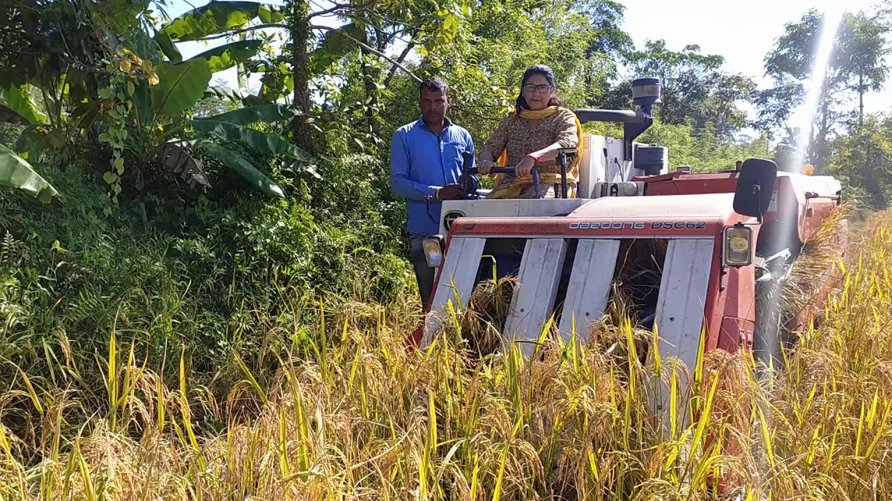 Paddy mini combine track type harvester in Assam - YouTube