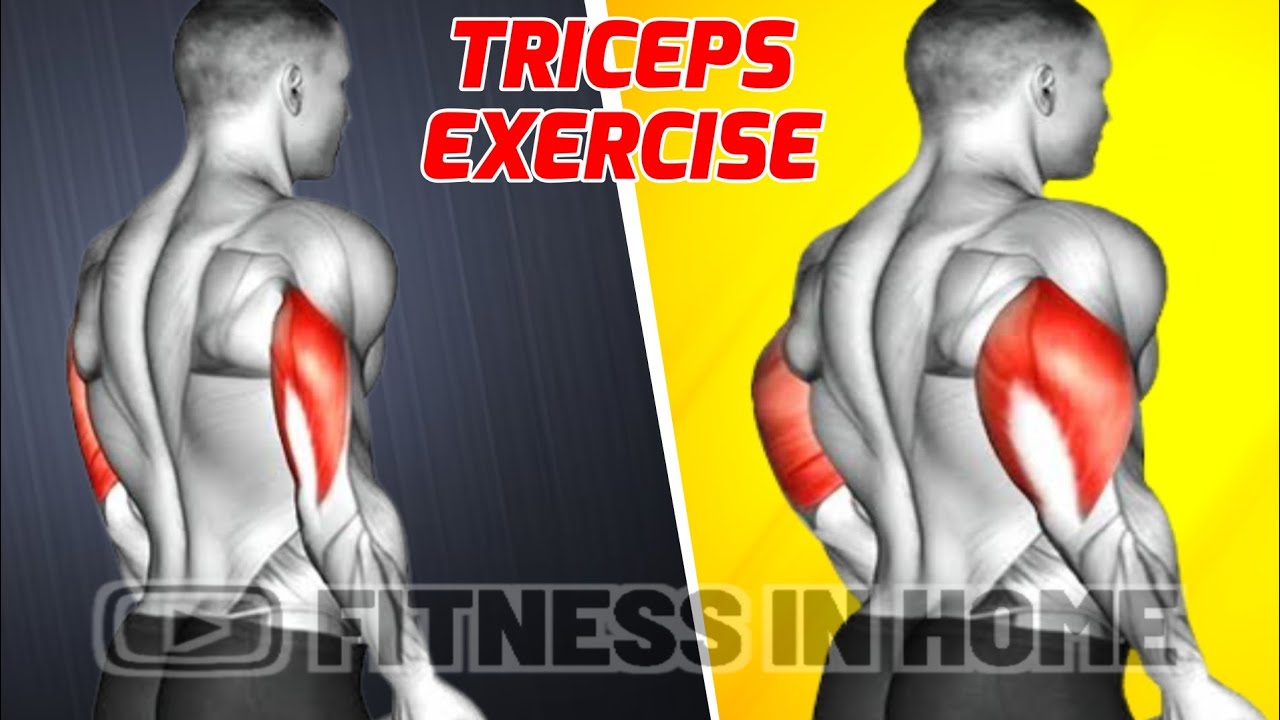 Top 6 Exercises To Build Triceps Workout | Fitness In Home - YouTube