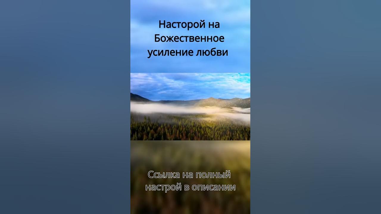 Настрой Сытина на Божественное усиление любви Youtube
