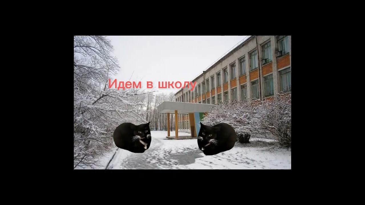 Школа котов первая часть - YouTube