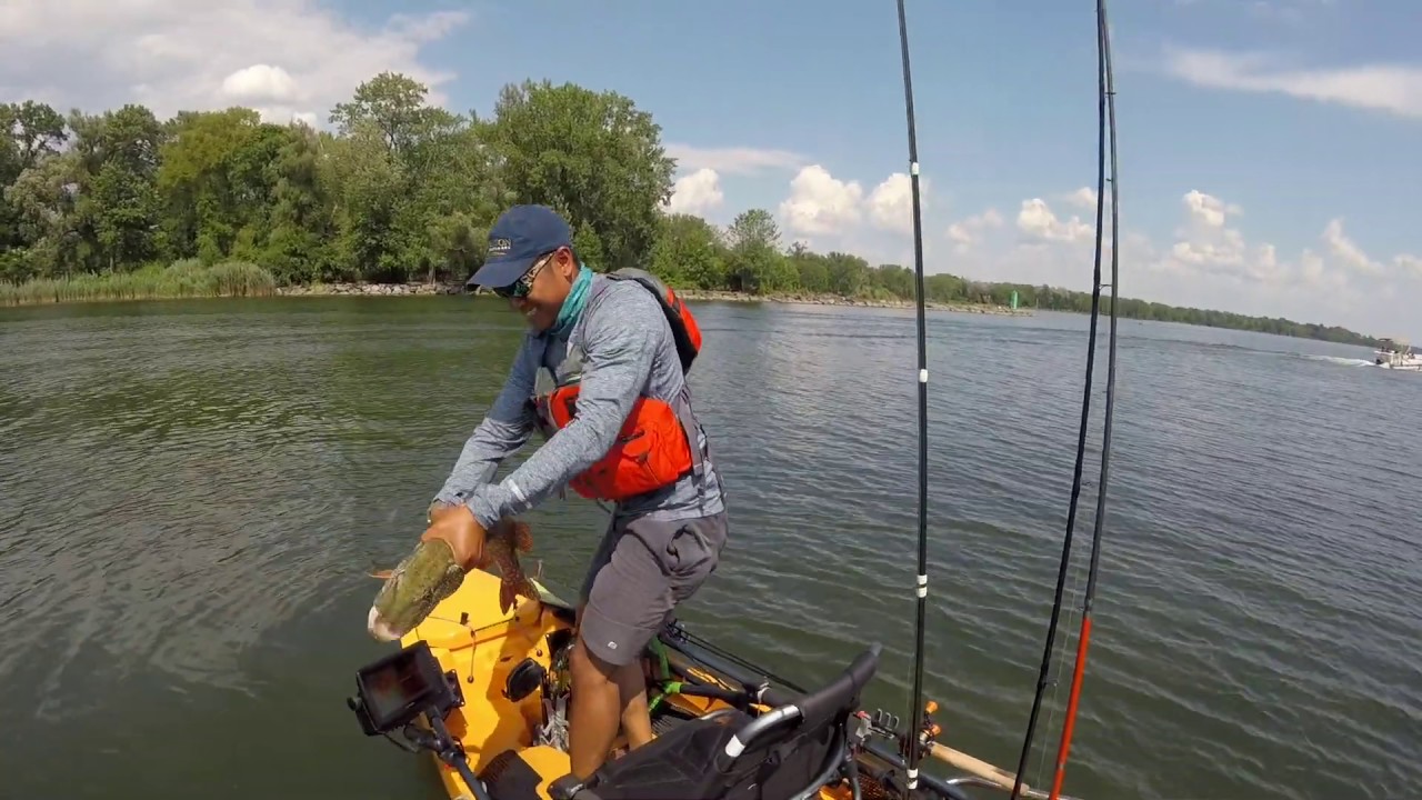 I catch big pike on a dropshot rigs - YouTube