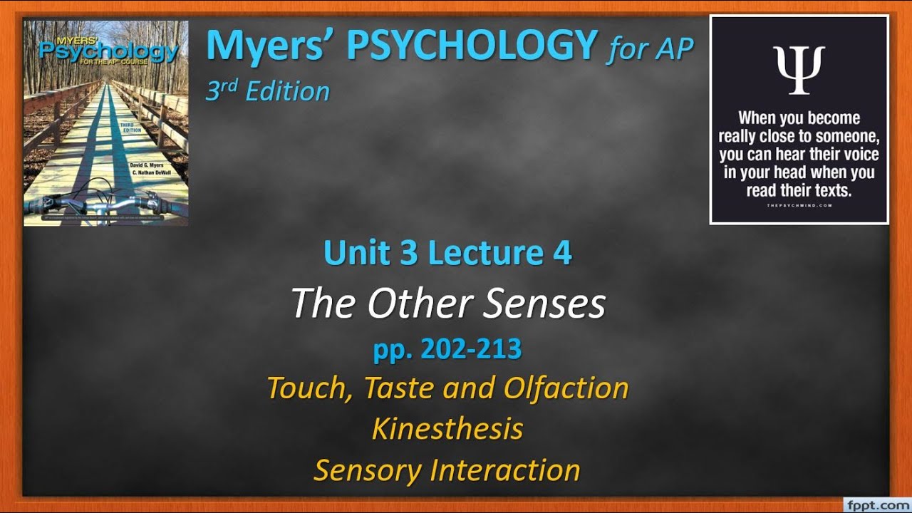 AP-DC Psych Unit 3 Lec 4 The Other Senses (J Porter - CWHS - Updated ...