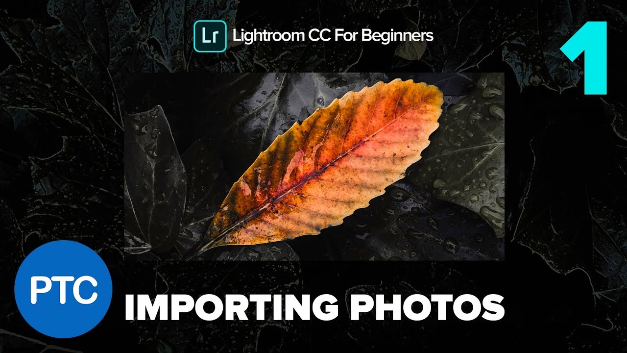 Importing Files Into Lightroom CC Lightroom CC For Beginners FREE Importing Files Into Lightroom CC Lightroom CC For Beginners FREE