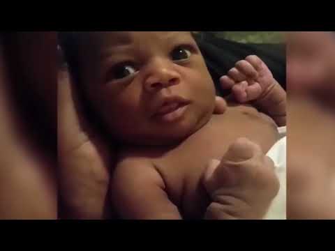 Like a Boss | Compilation #5