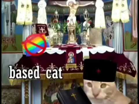 Based Cat - YouTube