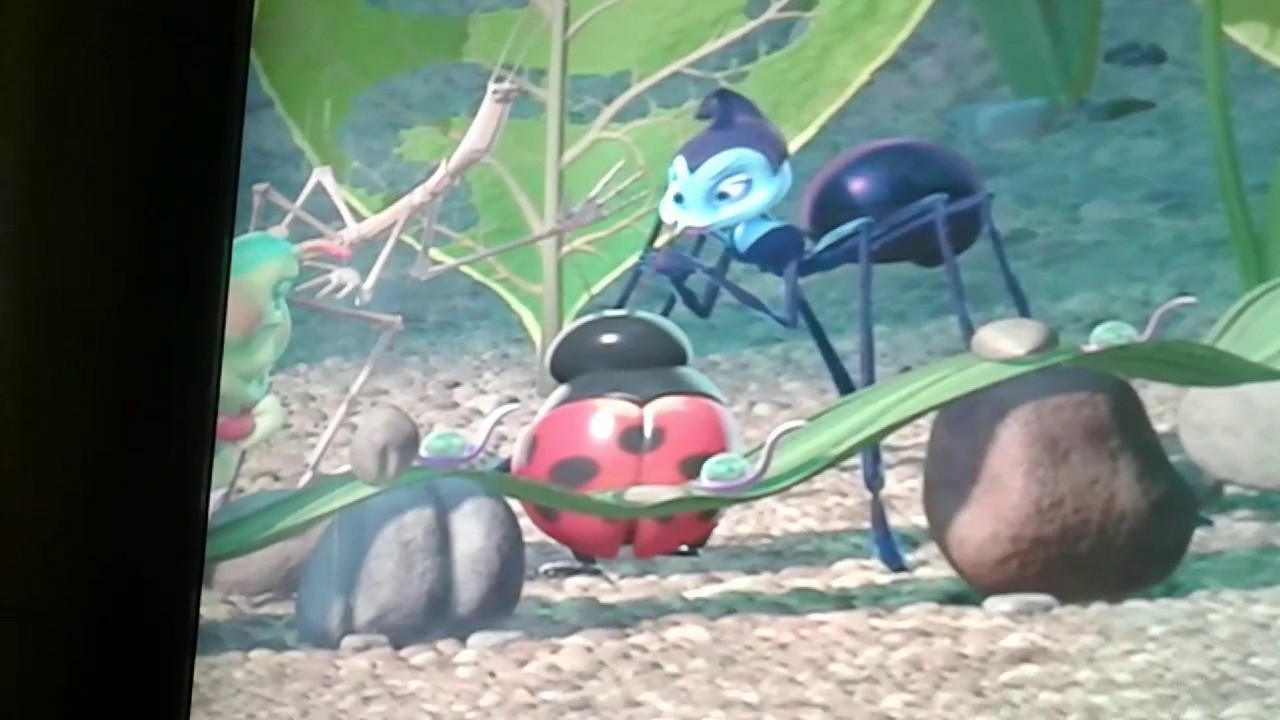 a bug's life francis - YouTube