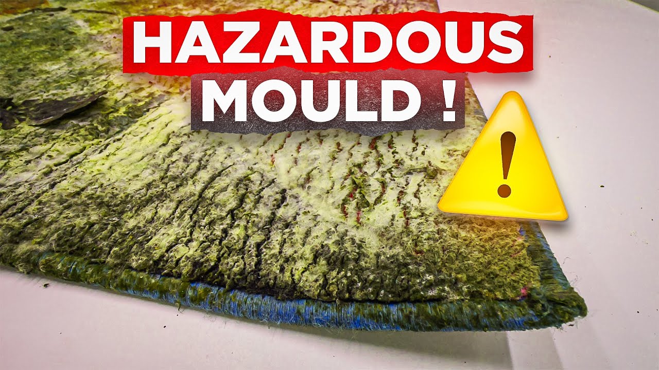 The Most Dangerous Rug We've Ever Cleaned… Mouldy Carpet Cleaning ASMR ...