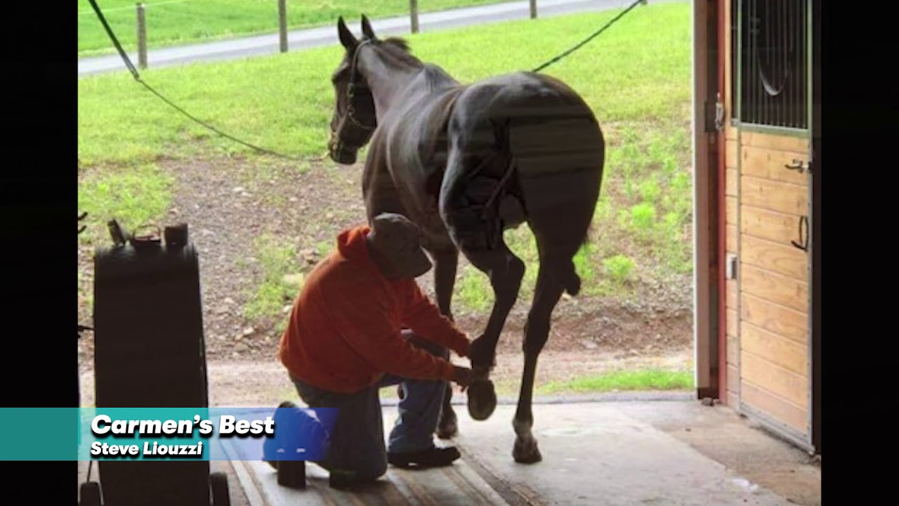 Behind The Stall: Marta Piotrow Racing Stable - YouTube