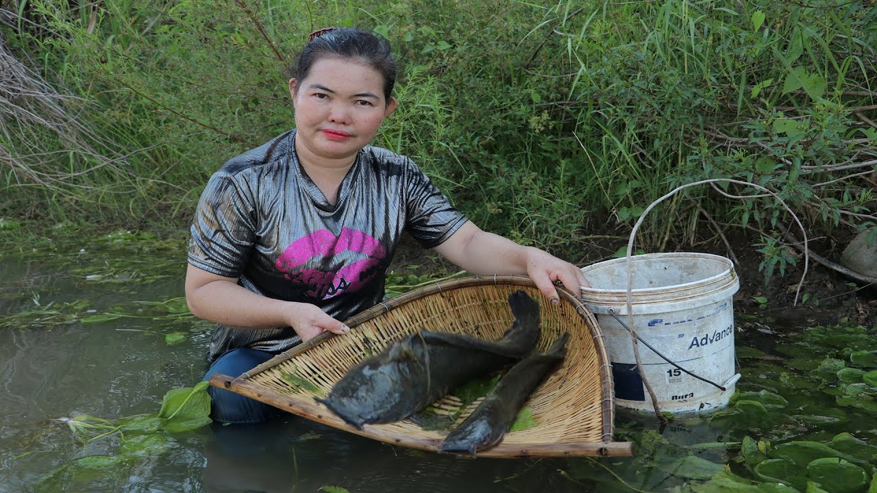 Catch fish using traditional gear traps - YouTube