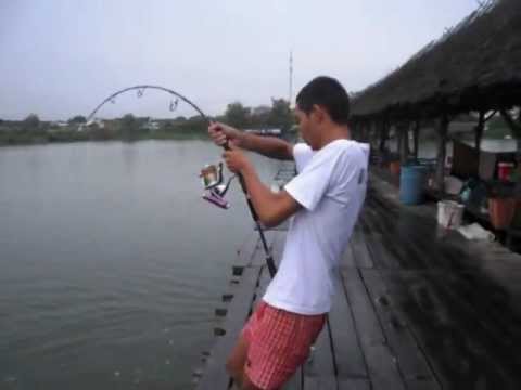๋Jigging Master Evolution Titanium 300g - YouTube