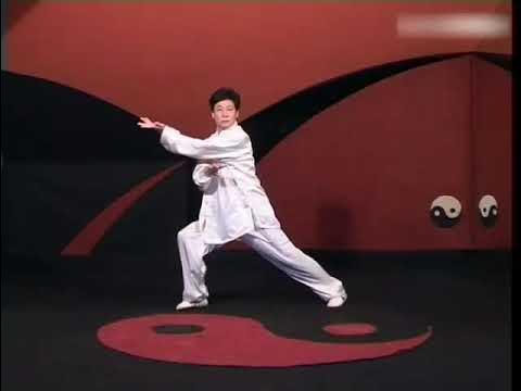 Tian Keyan Tian's Yin Yang Bagua Palm. Python Palm (1) - YouTube