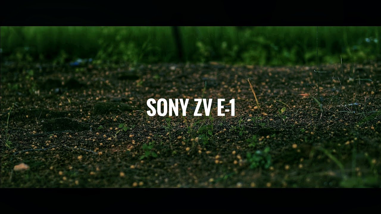 Sony ZV E1 Cinematic 4k Slog-3 Footage - YouTube