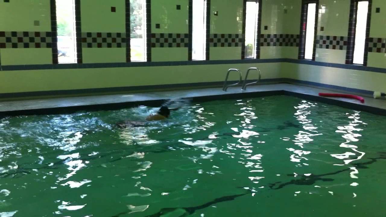 Swim progress 2 - YouTube