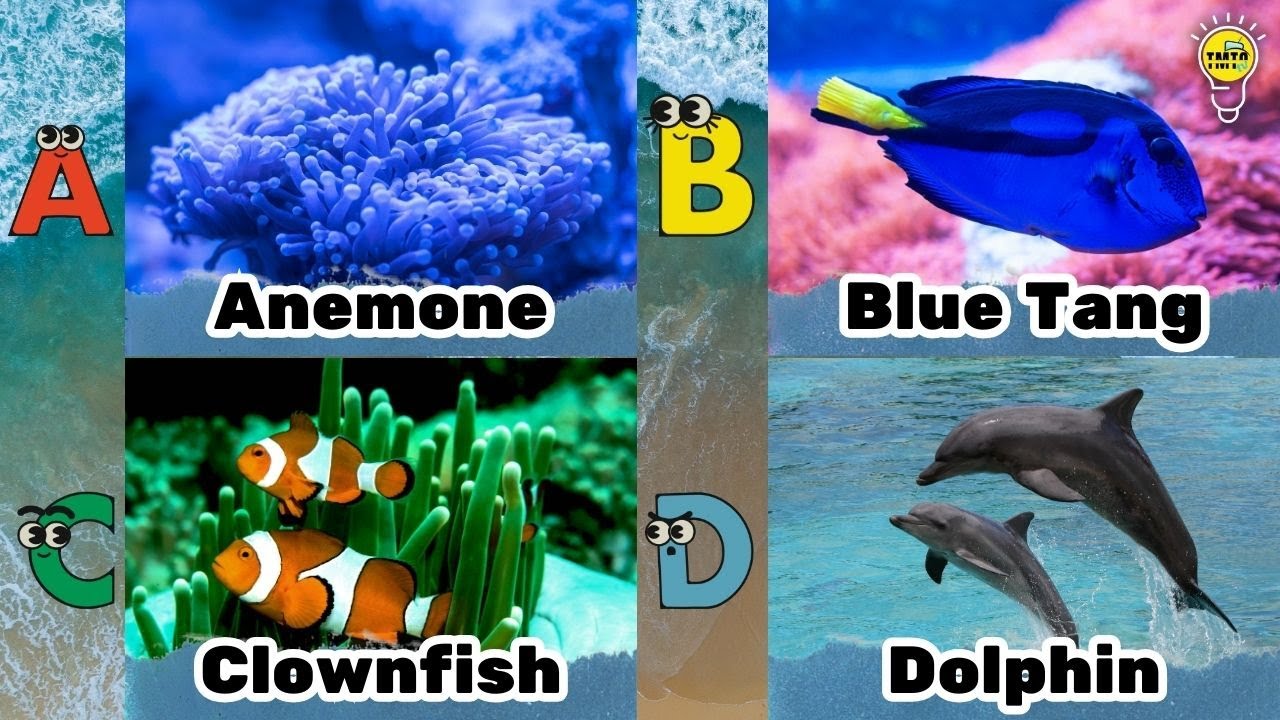 ABC phonics animals | ABC Sea Animals song | English and Animals for ...