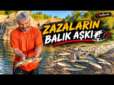 Dicle nehrinde böyle balık görülmedi🐟 #keşfet #fyp #belgesel #balık #keşfetbeniöneçıkar #diclenehri 