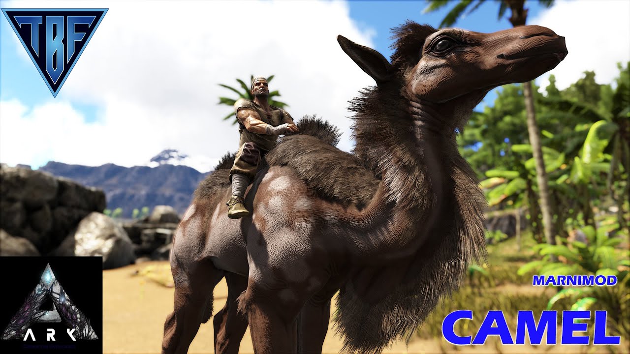 Brand new very own Camel! New Ark Super Modded Adventure! Ark Survival ...