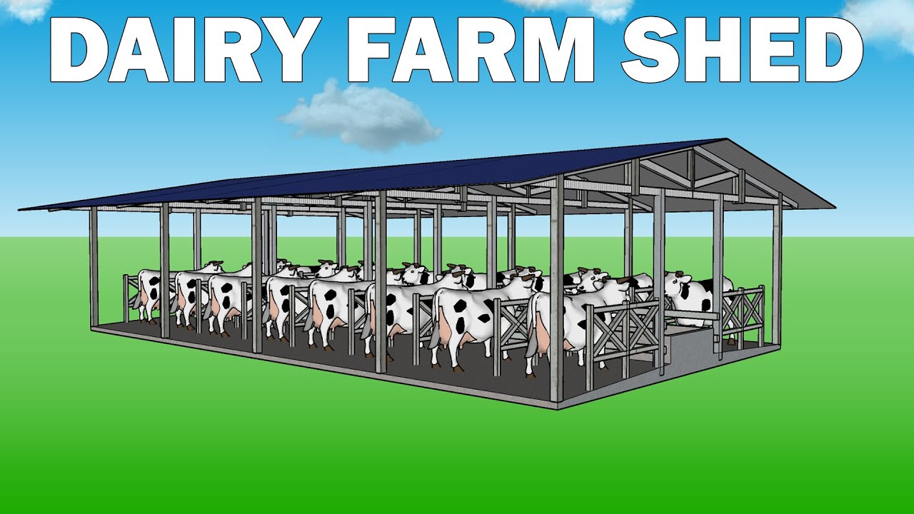 Simple Cow/Dairy Farm Shed - YouTube
