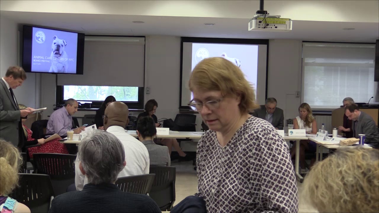 ACC Board Meeting: June 19, 2019 - YouTube