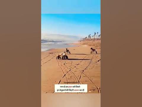 %E0%A4%90%E0%A4%B8%E0%A5%80 %E0%A4%B8%E0%A5%8B%E0%A4%9A %E0%A4%B5%E0%A4 ...