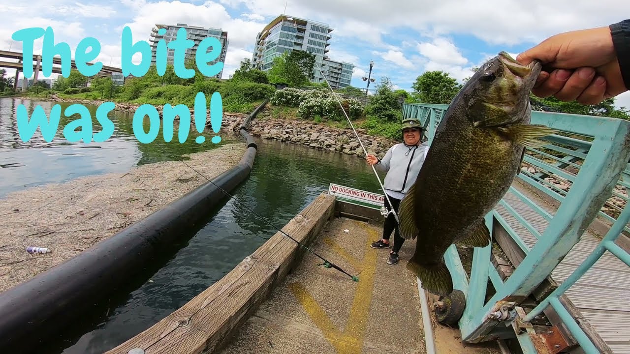 Smallmouth Fishing (PORTLAND) - YouTube