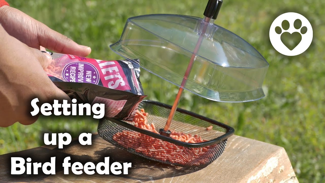 How do you set up a Bird Feeder? - YouTube