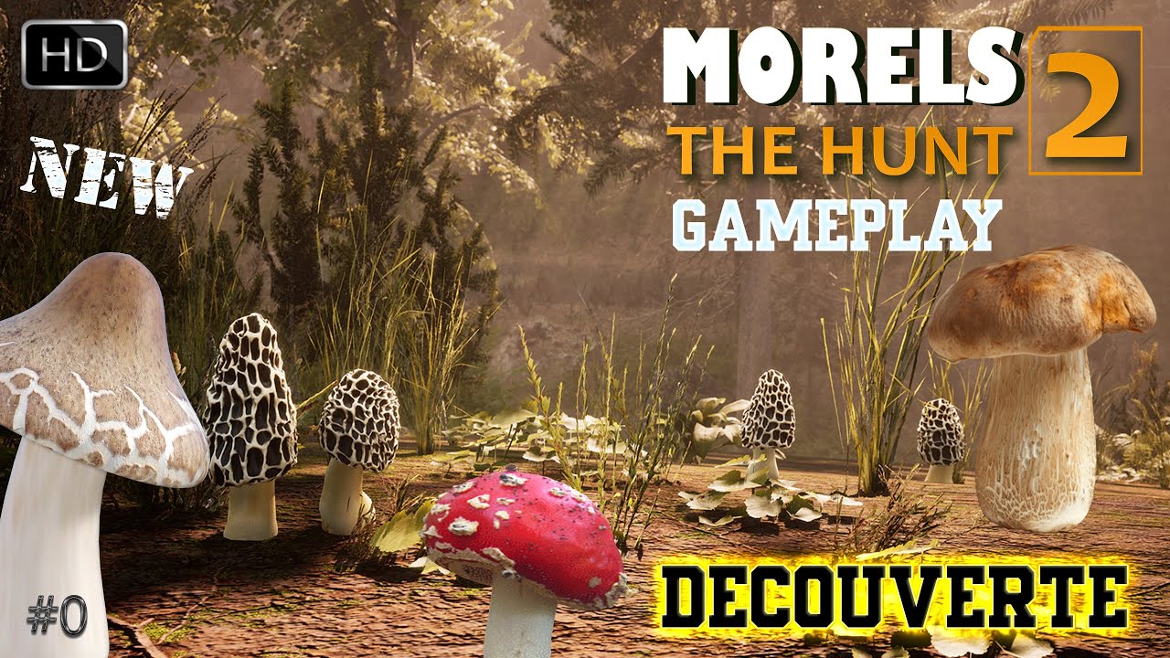MORELS THE HUNT 2 #0 GAMEPLAY DECOUVERTE ! LA CHASSE AUX CHAMPIGNONS ET ...