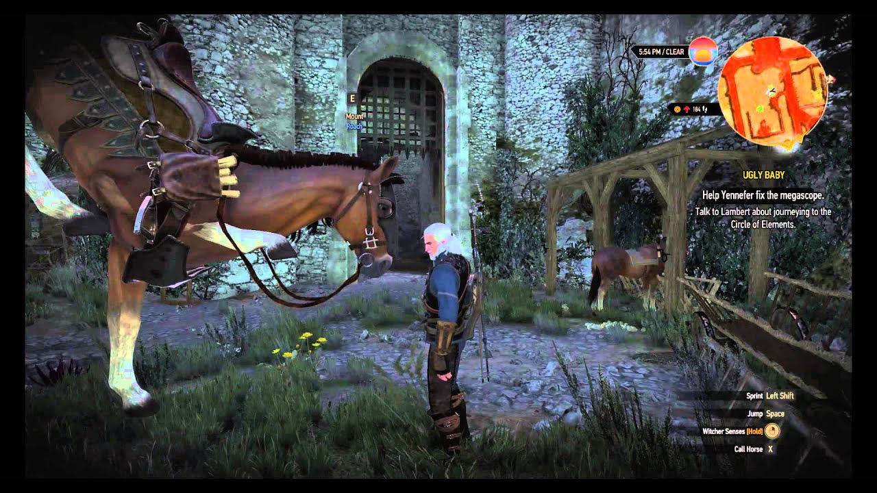 Roach Glitch Witcher 3 - YouTube