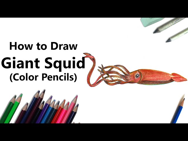 How To Draw A Giant Squid Step By Step Easy