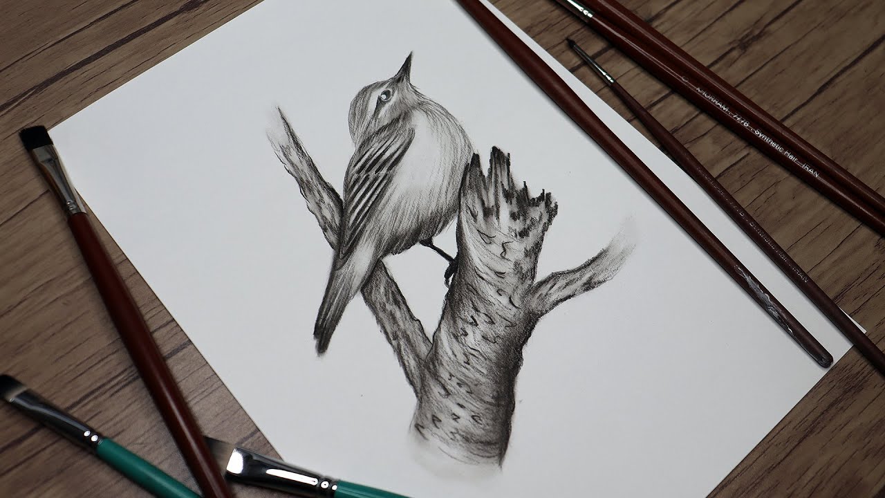 How to Draw a Realistic Bird with Pencil | Step by Step Tutorial for ...