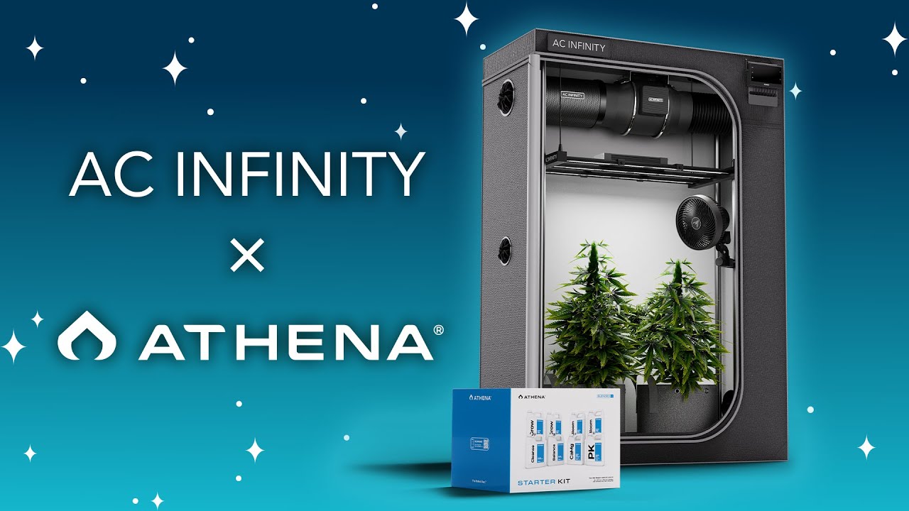 First Look at the AC Infinity x Athena x Jungle Boys 2x4 Cultivator Kit ...