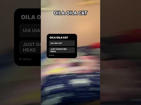OILA OILA CAT #UIA #OILA #CAT CAT - YouTube