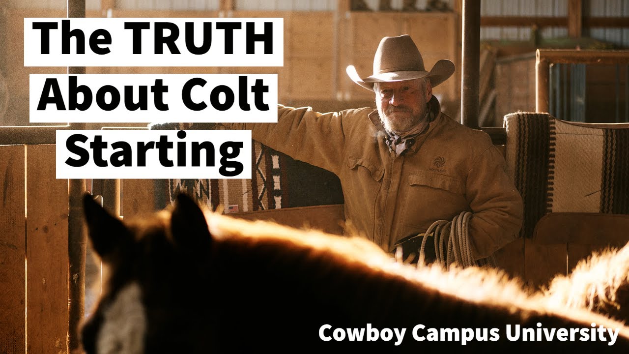 🛑 The Truth About Colt-Starting 🛑 - YouTube