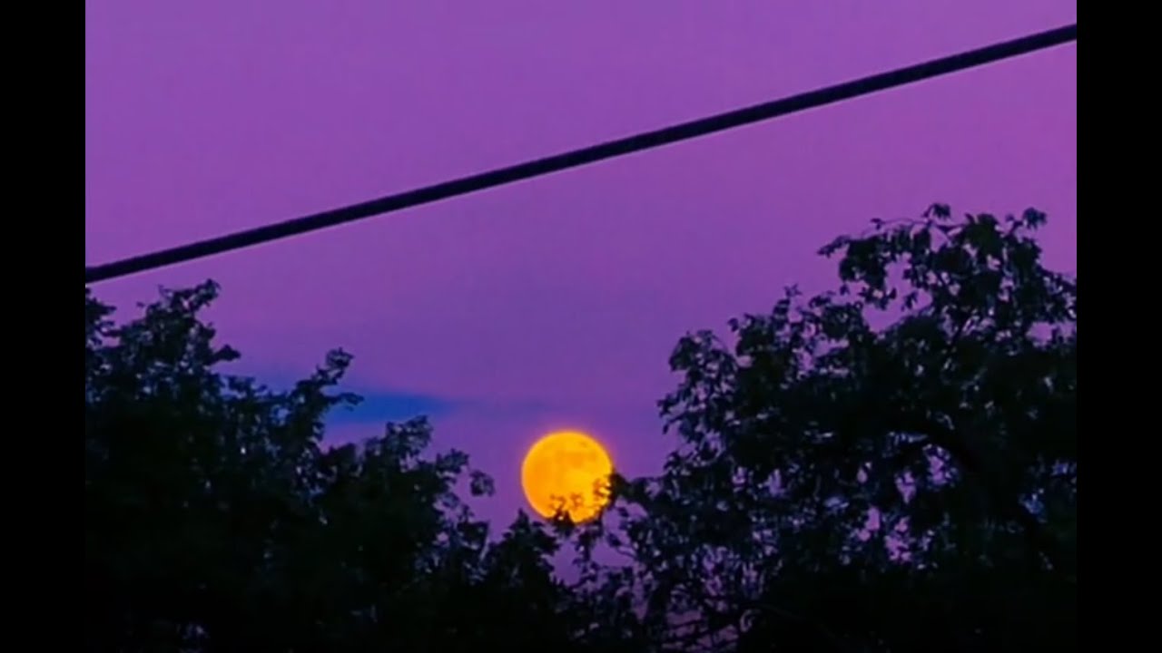 [free] lucki x ambient type beat 2023 - "sunset" - YouTube