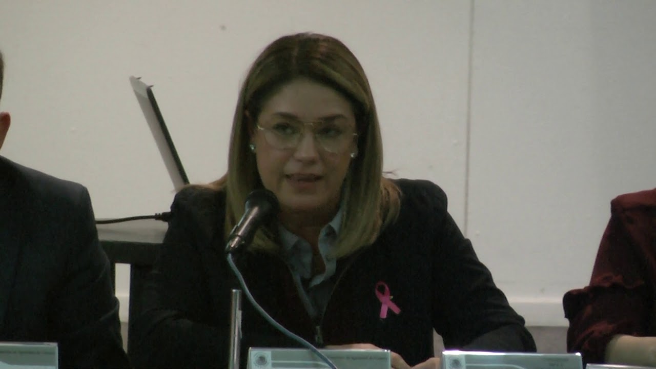 15/10/2018 Dip. Isabela Rosales - Participación - YouTube