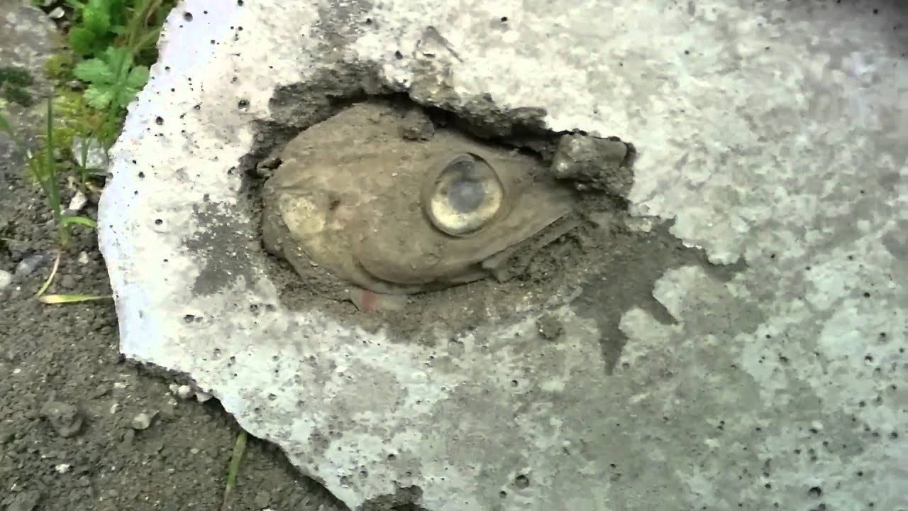 Fake Fossil Fish Shape Removal - YouTube